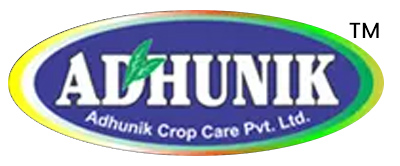 Packaging Machines Manufacturers & Exporters in Haryana, India